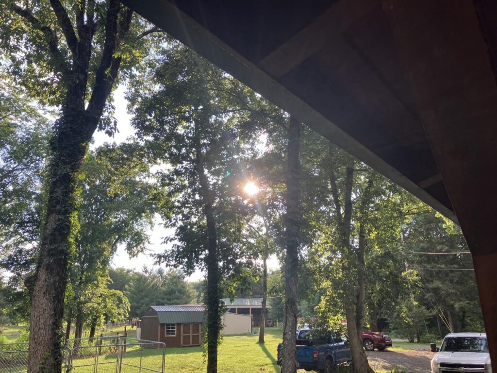 Fancy Forest Farm – Beautiful guided horseback riding, just south of ...