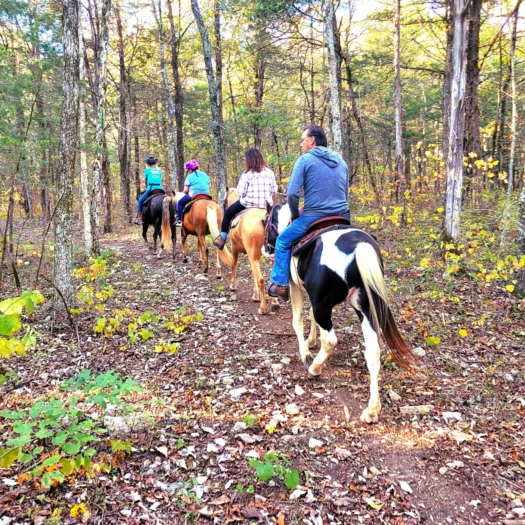 Book a Trail Ride – Fancy Forest Farm