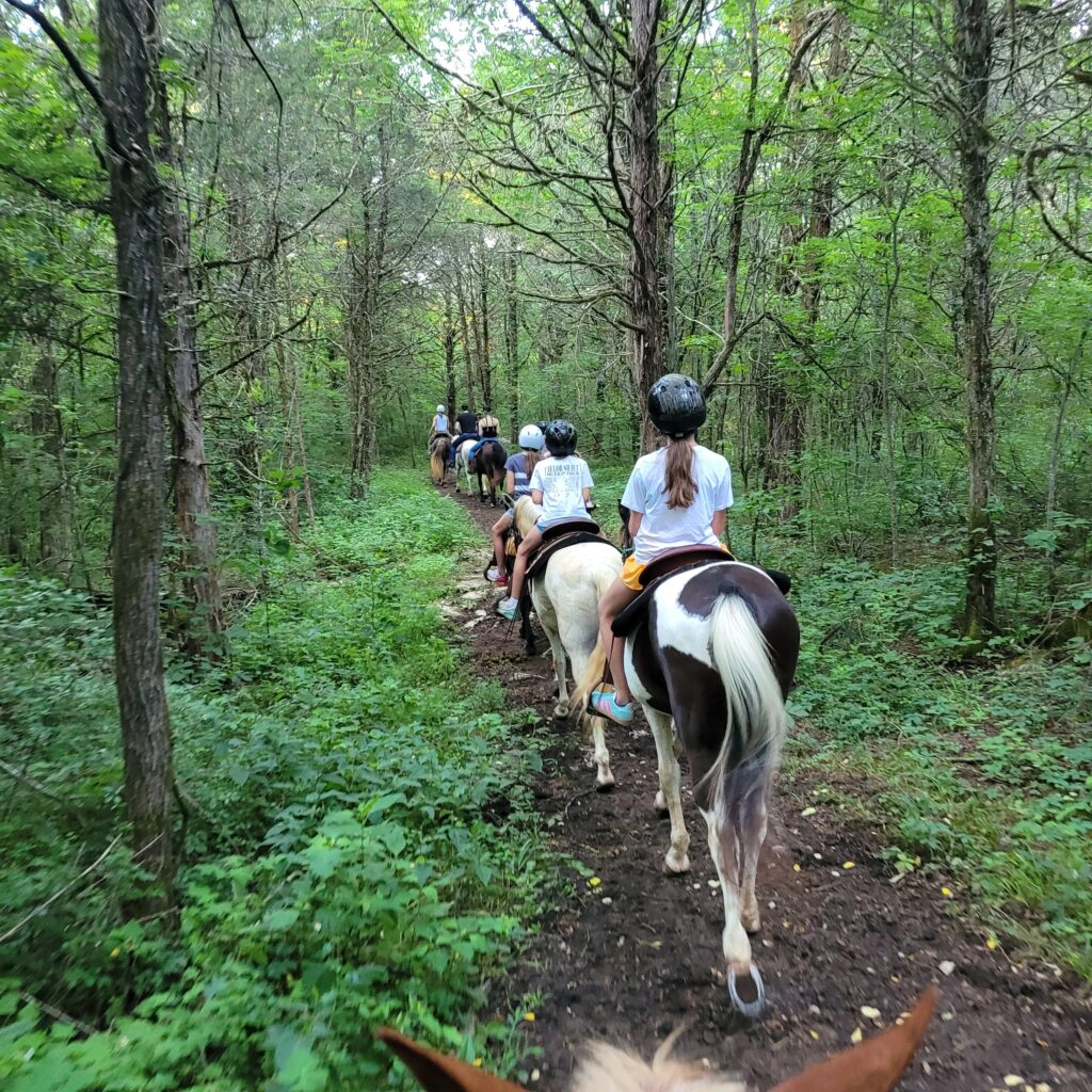 Fancy Forest Farm – Beautiful guided horseback riding, just south of ...